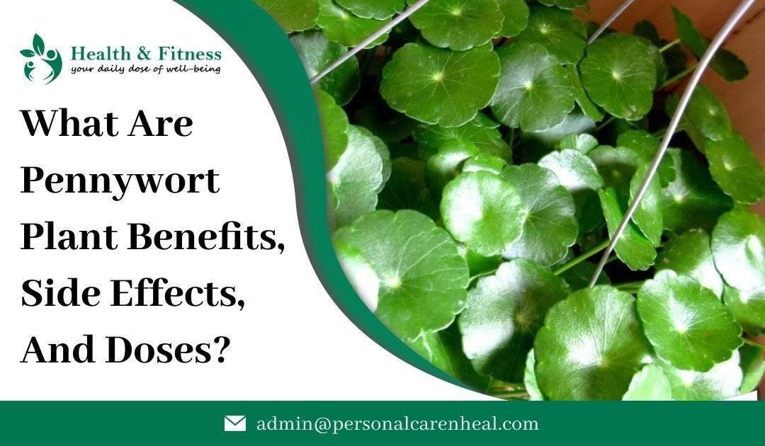 What Are Pennywort Plant Benefits Side Effects And Doses